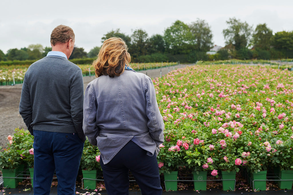 One Lovely Rose: The Story Behind Emma's Rose – Emma Bridgewater UK