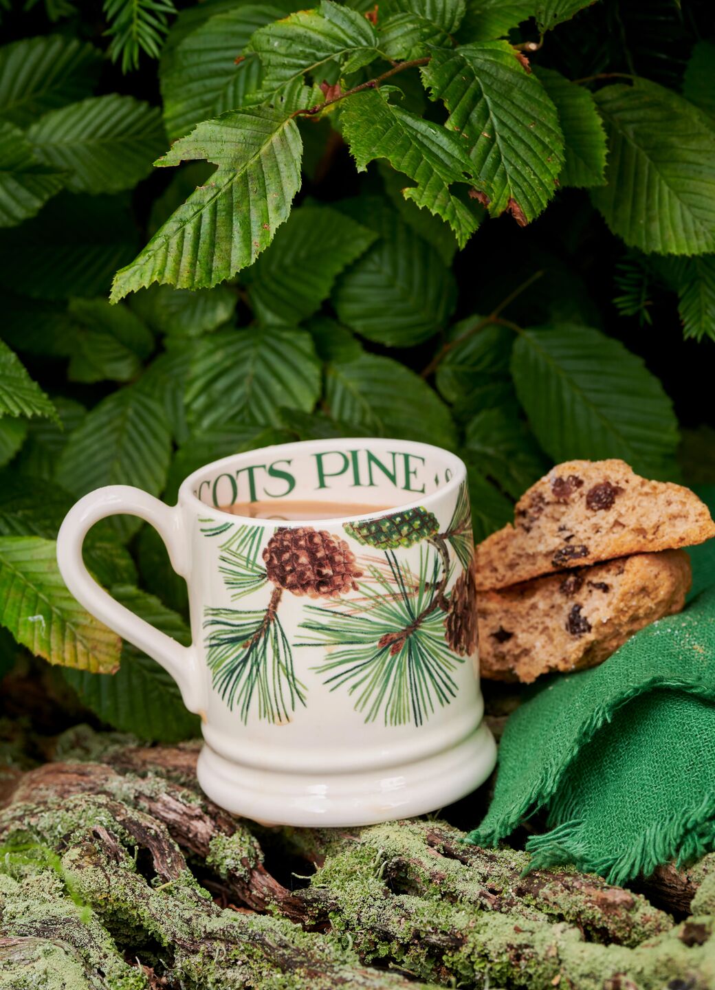 Scots Pine 1/2 Pint Mug – Emma Bridgewater UK