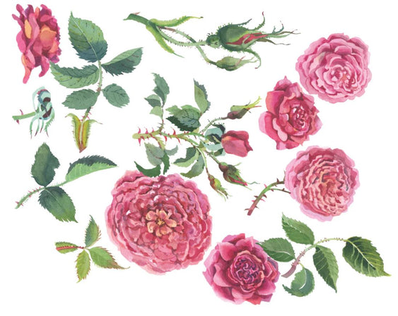 One Lovely Rose: The Story Behind Emma's Rose – Emma Bridgewater UK